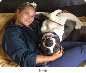 Daneline International Charitable Foundation, Great Dane Rescue ...